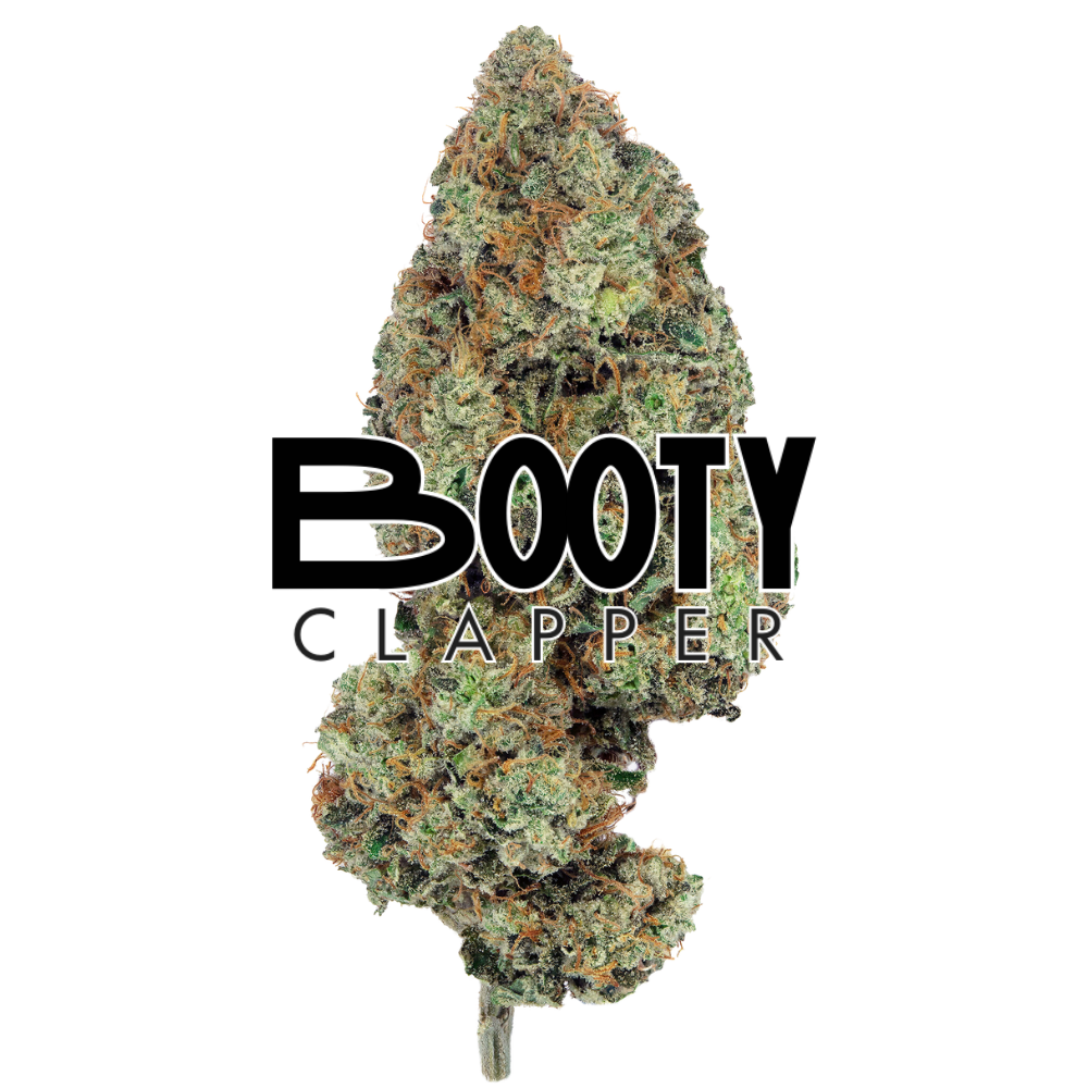 Our strains - Purplefarm